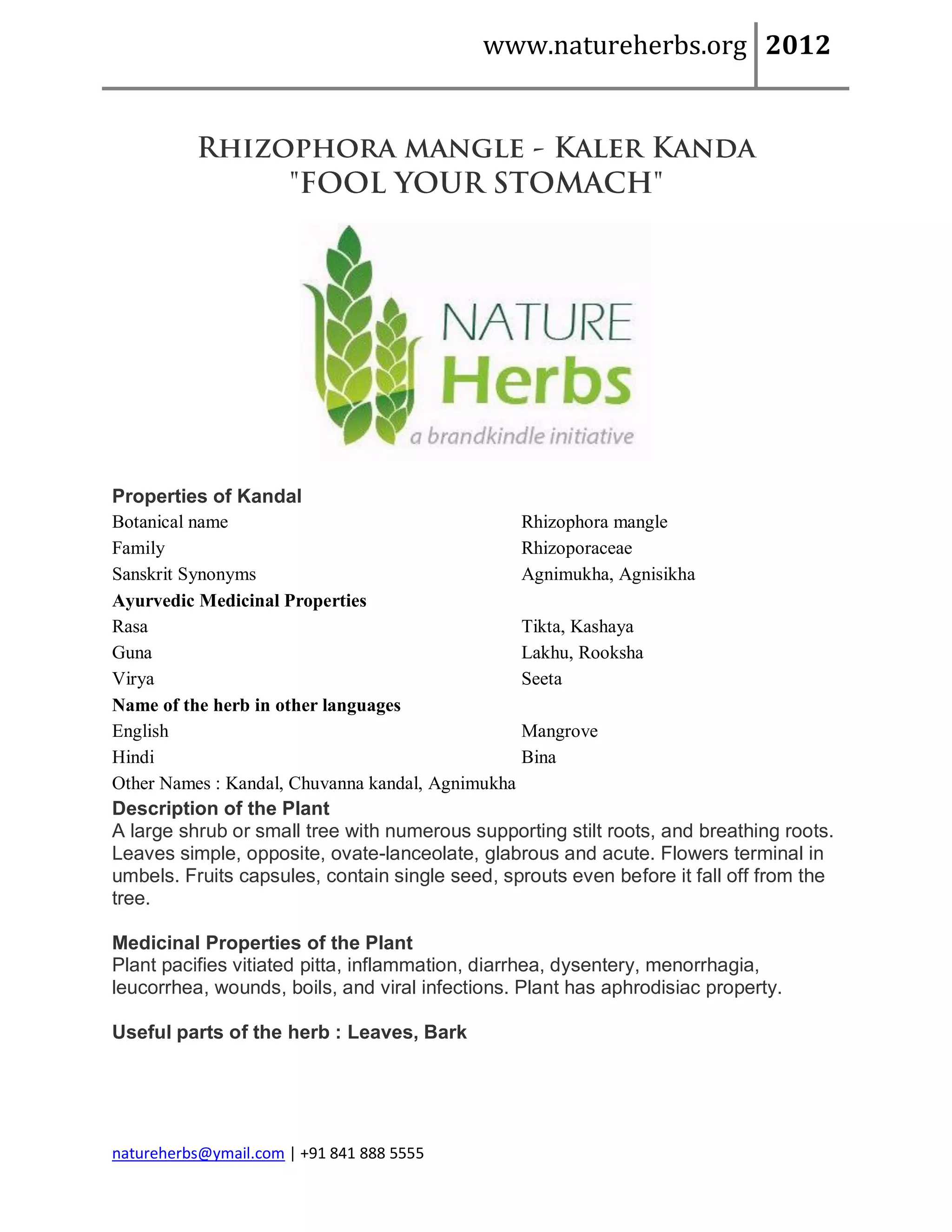 Rhizophora mangle fool your stomach | PDF