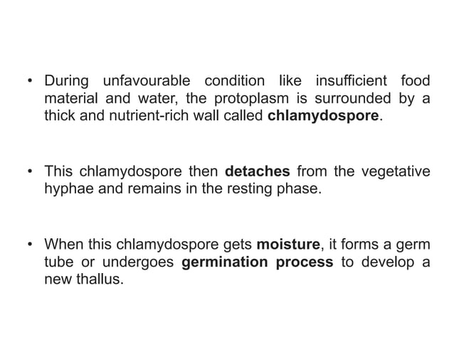 Rhizopus | PPTX | Biological Sciences | Science