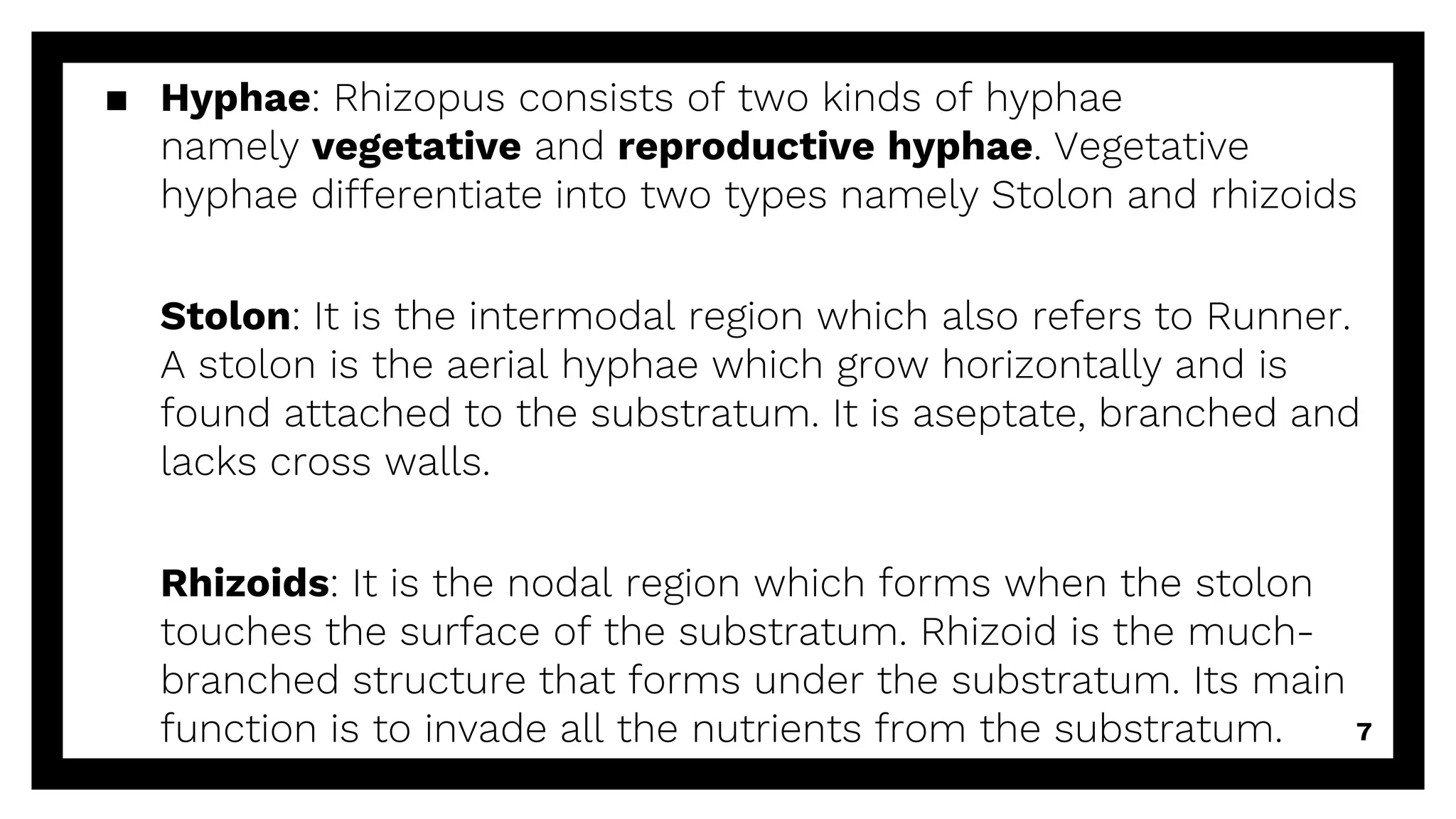 Structure and Reproduction of Rhizopus sp., | PPTX