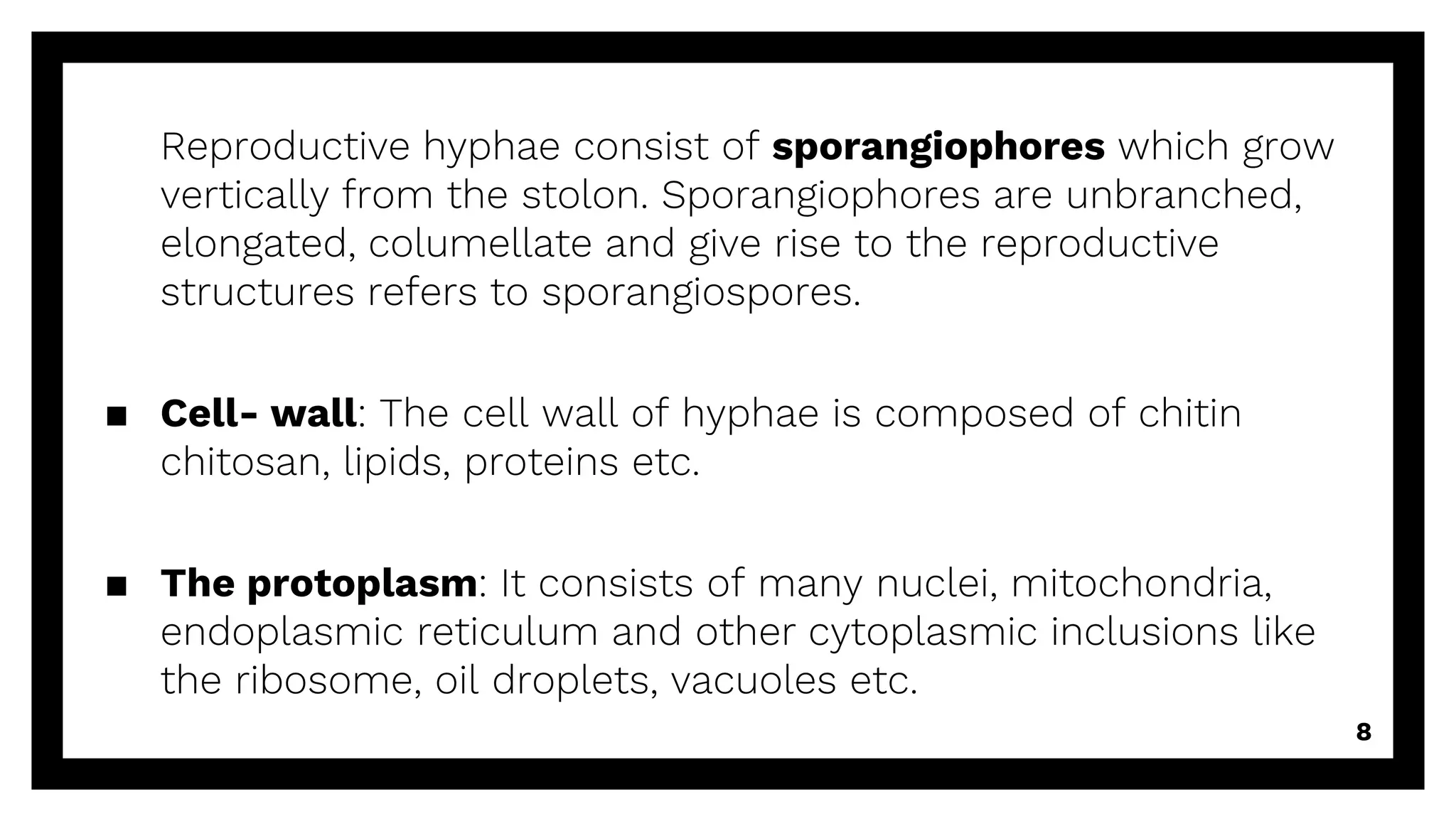 Structure and Reproduction of Rhizopus sp., | PPTX