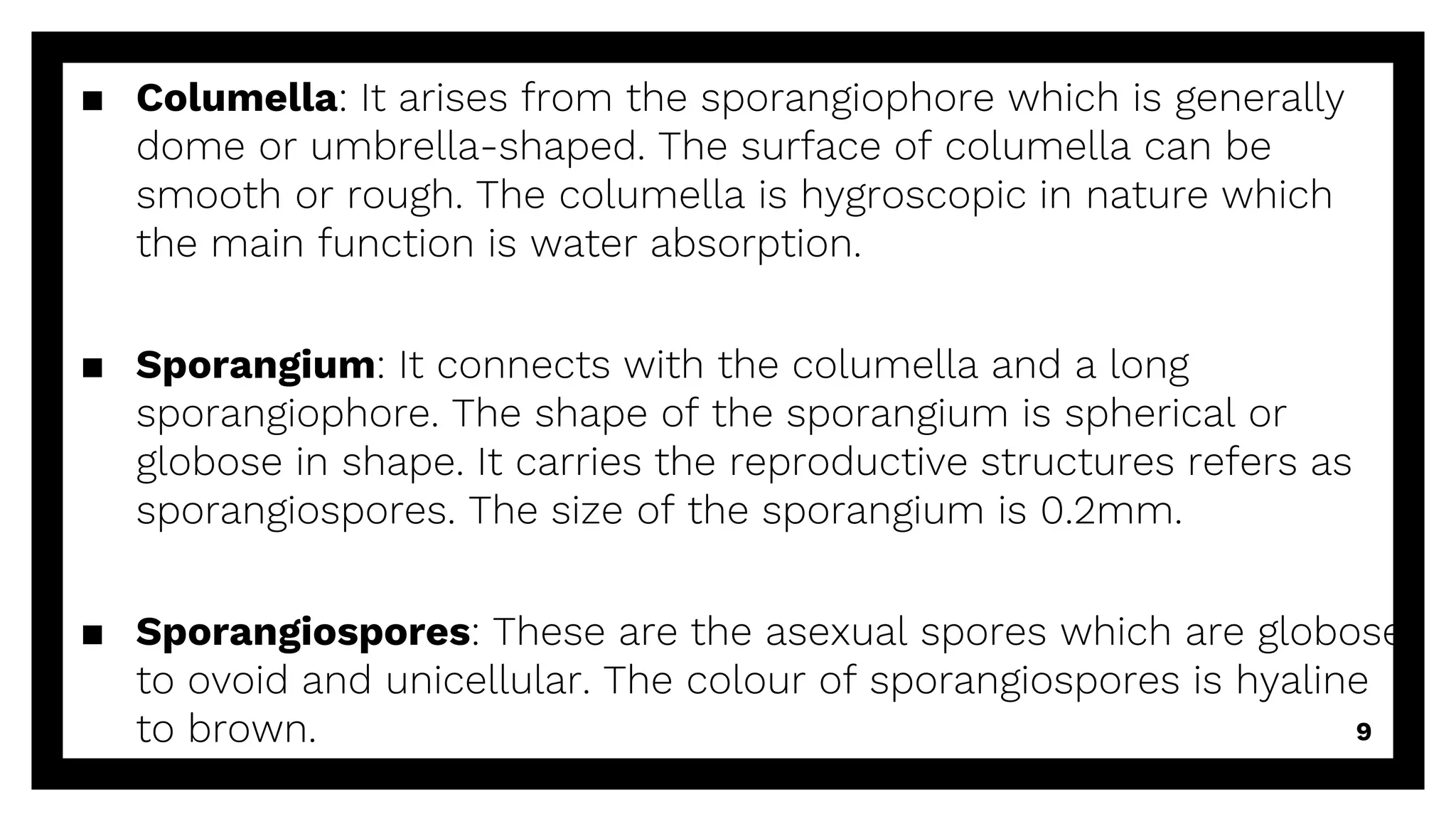 Structure and Reproduction of Rhizopus sp., | PPTX