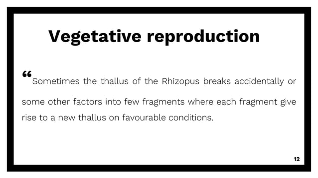 Structure and Reproduction of Rhizopus sp., | PPTX