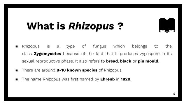 Structure and Reproduction of Rhizopus sp., | PPTX