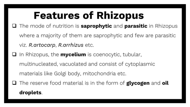 Structure and Reproduction of Rhizopus sp., | PPTX