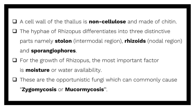 Structure and Reproduction of Rhizopus sp., | PPTX