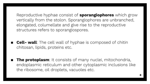 Structure and Reproduction of Rhizopus sp., | PPTX