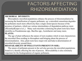 rhizoremediation (1) (1).pptx