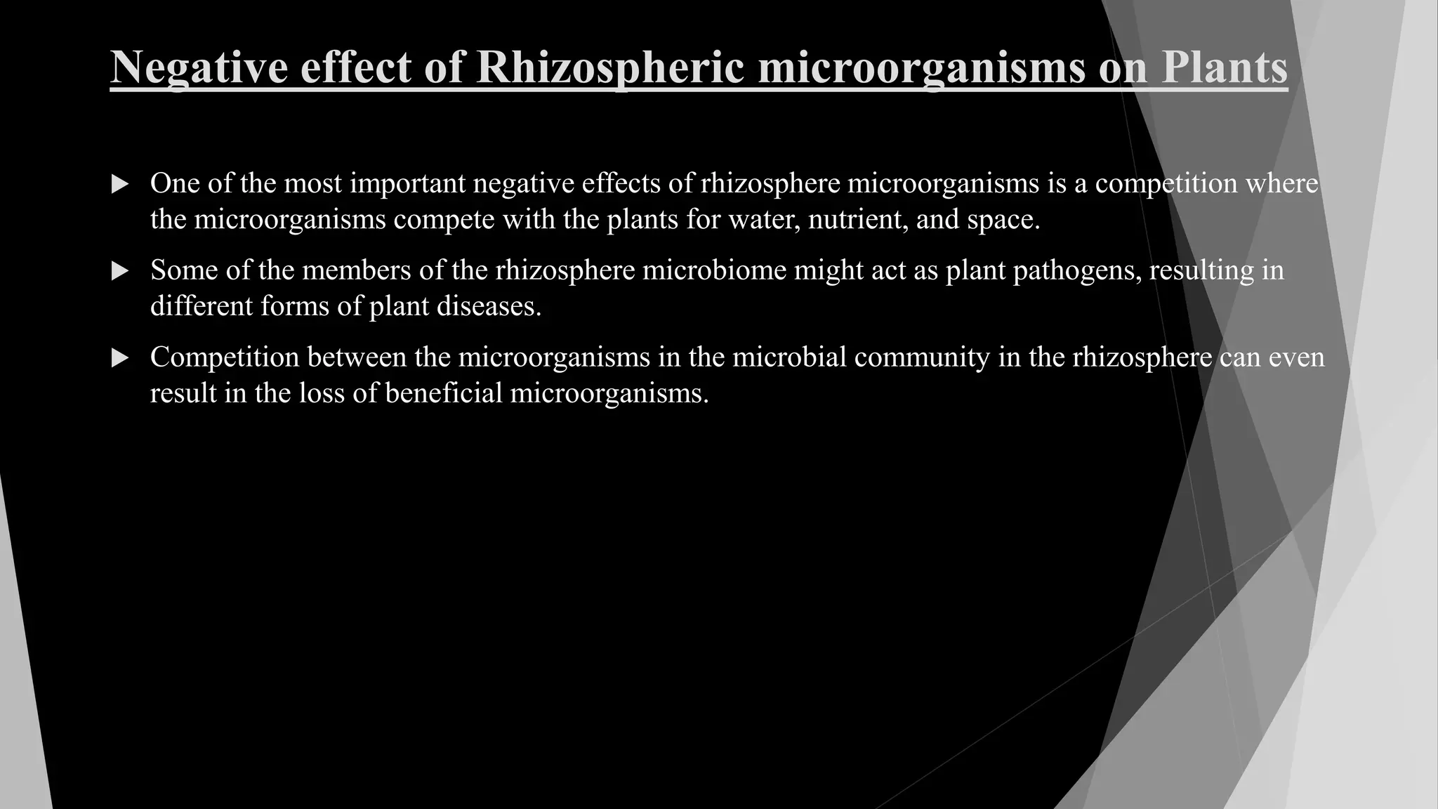 Rhizosphere and Rhizoplanemicroflora.pptx