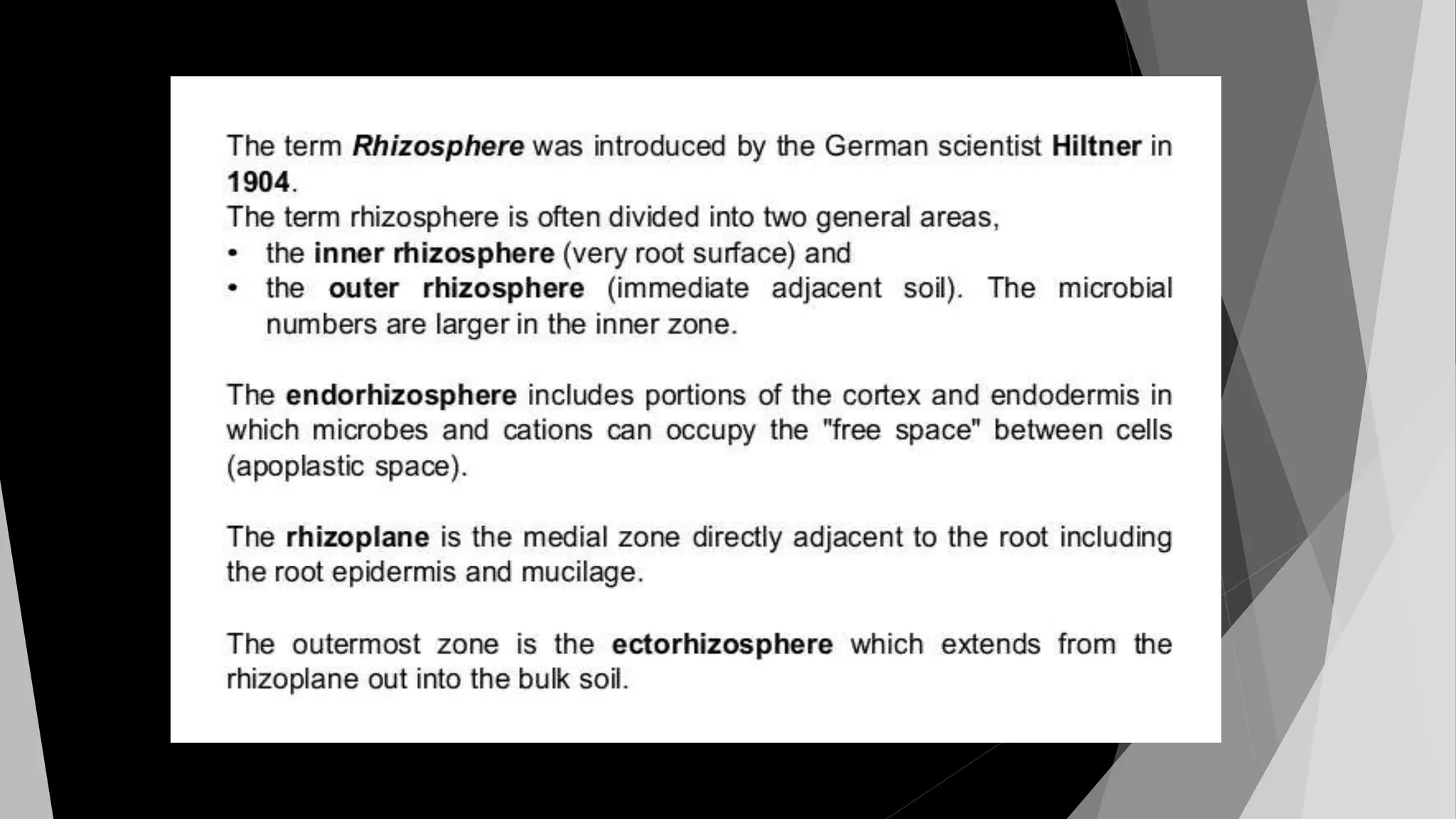 Rhizosphere and Rhizoplanemicroflora.pptx