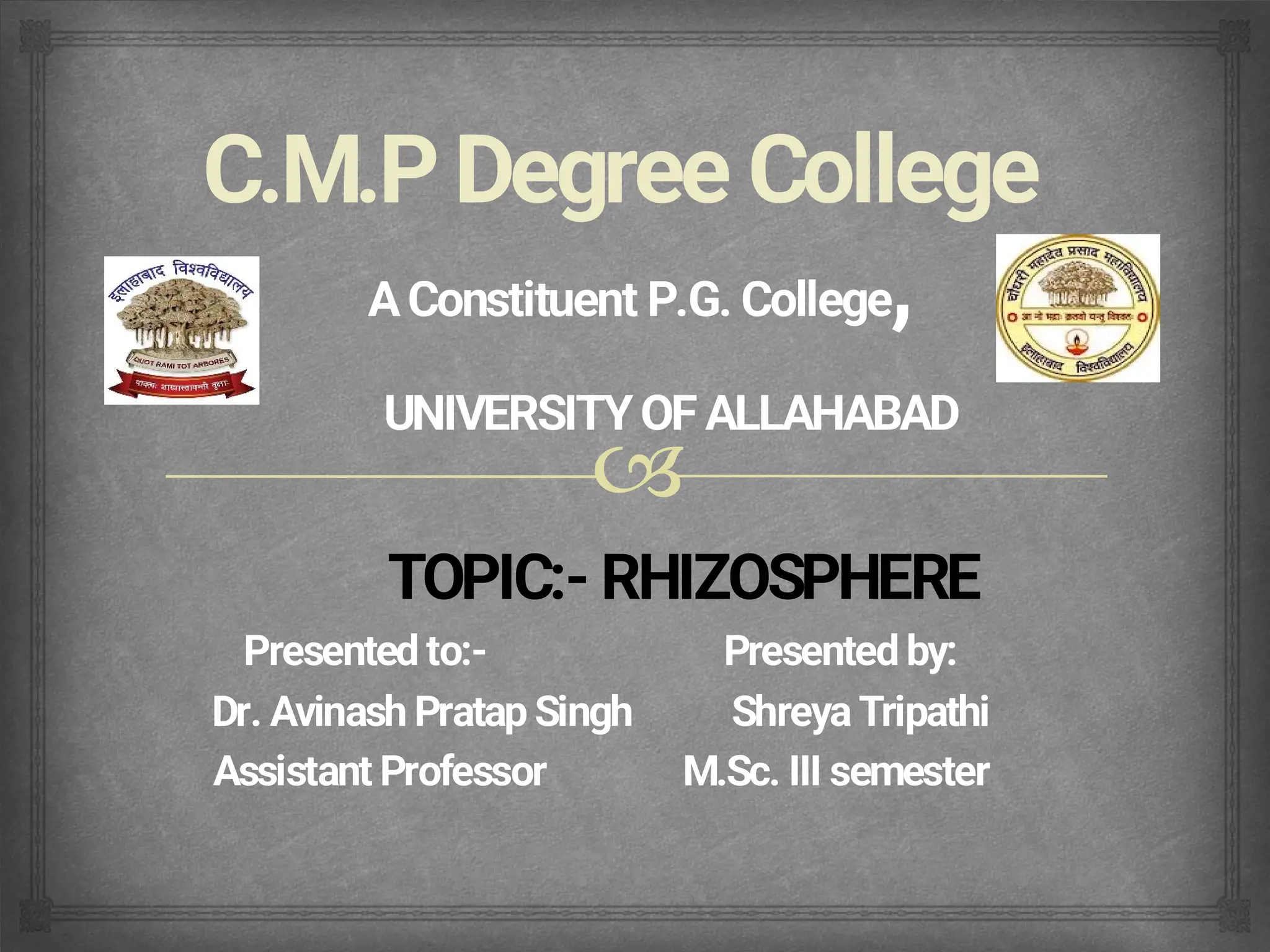 Rhizosphere in plant microbiology by Shreya Tripathi .ppt