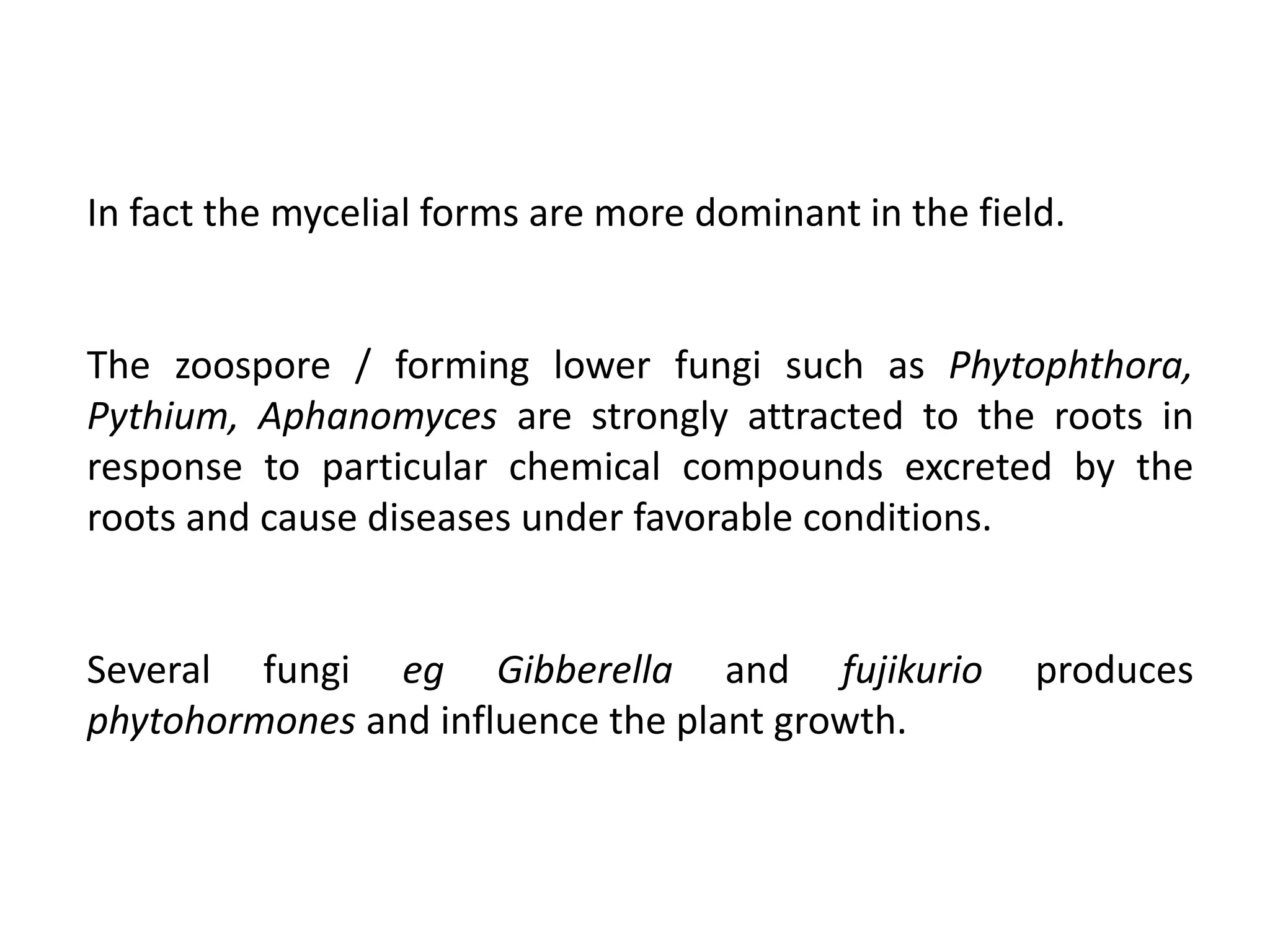 Rhizosphere effect | PPTX