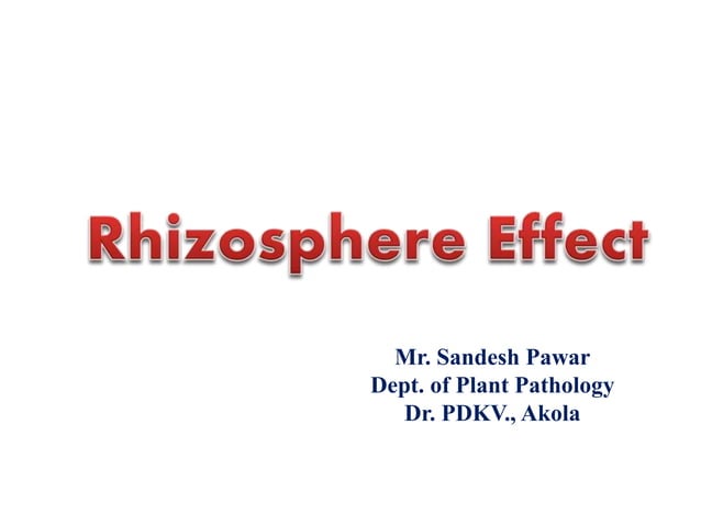 Rhizosphere effect | PPTX