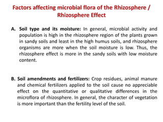 Rhizosphere effect | PPTX