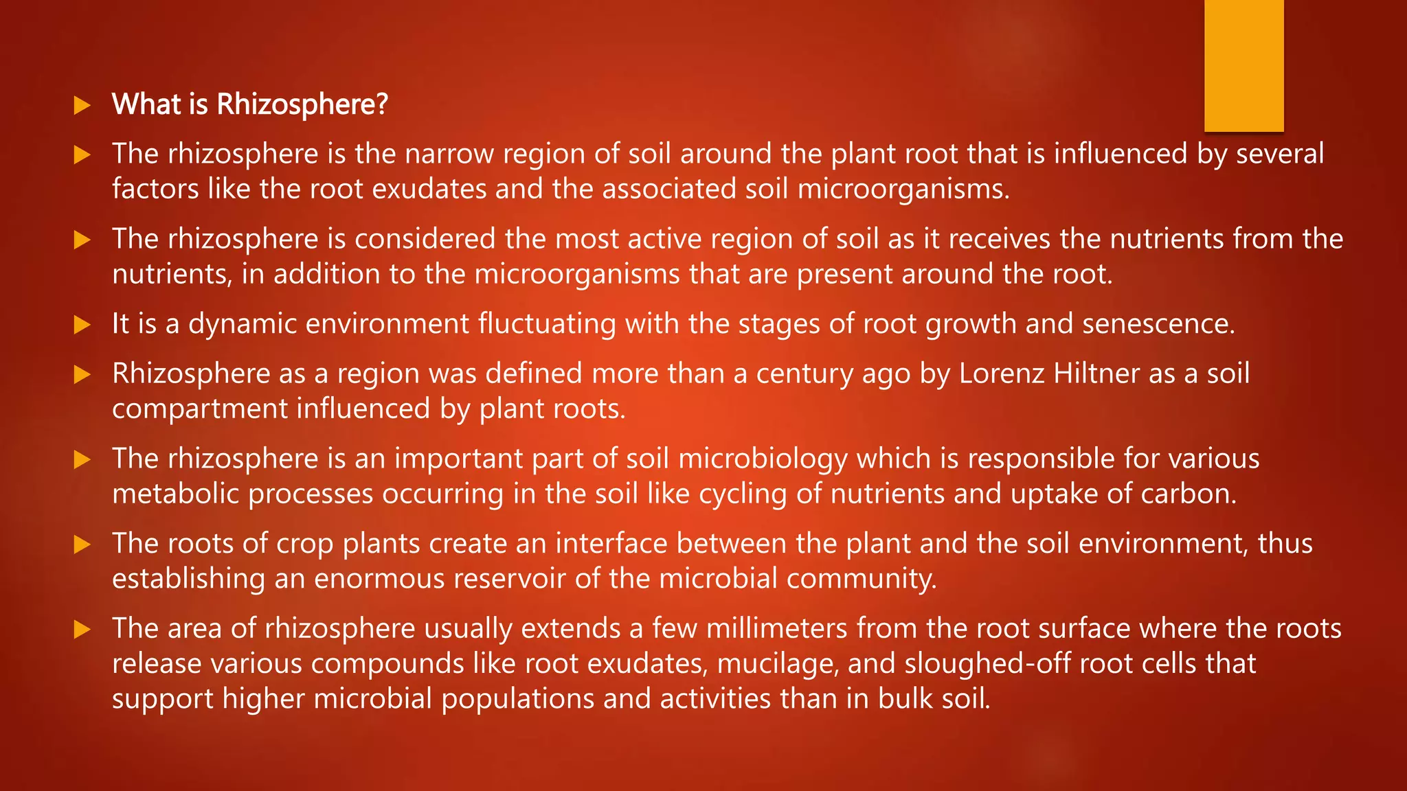 Rhizosphere effect.pptx