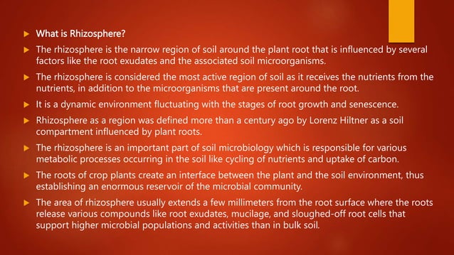 Rhizosphere effect.pptx