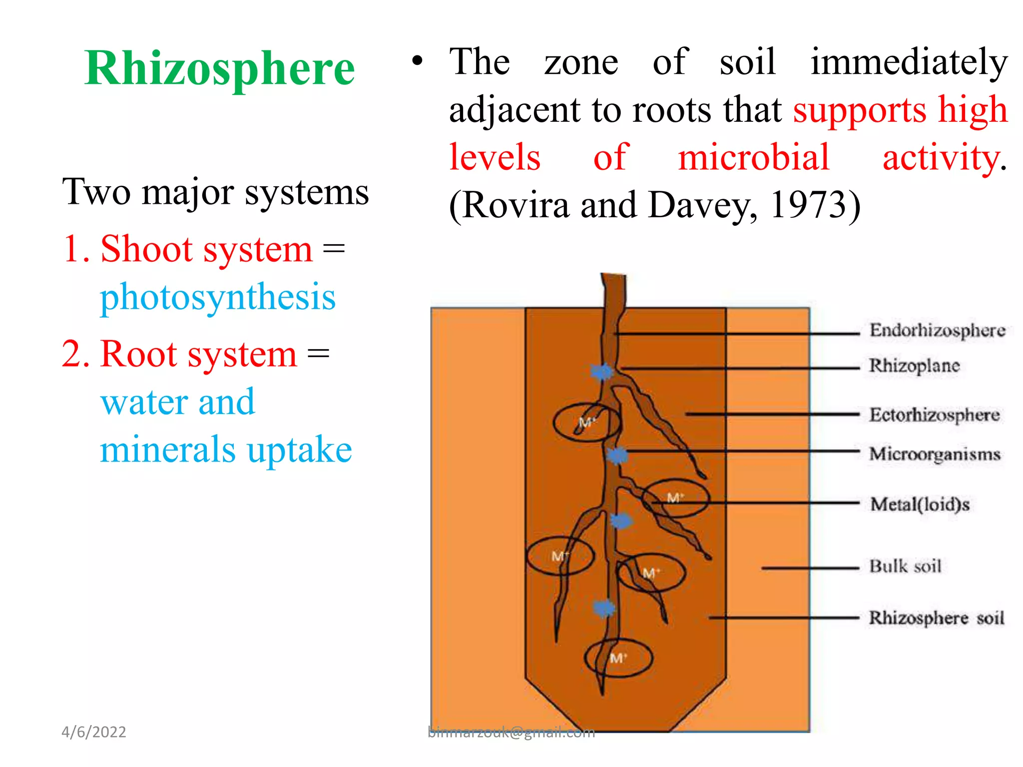 RHIZOSPHERE EFFECTS.pptx