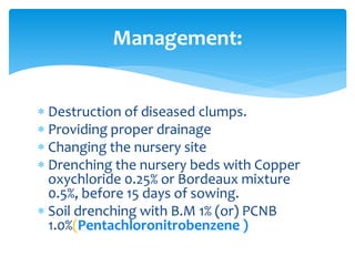 Diseases of pepper | PPTX