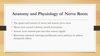 Rhizotomy:A surgical intervention for spasticity.pptx