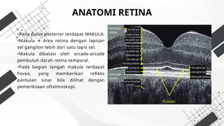 RHL - Basic Reading Retina [Disimpan otomatis] [Disimpan otomatis].pptx