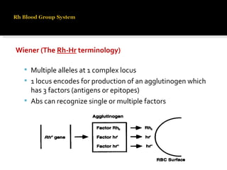Rh lecture | PPT