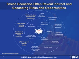 Dynamic Stress Testing for an Insurance Company: Brian Rhoads, Practice ...