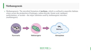 Rhodobacterium and Methanobacterium.pptx