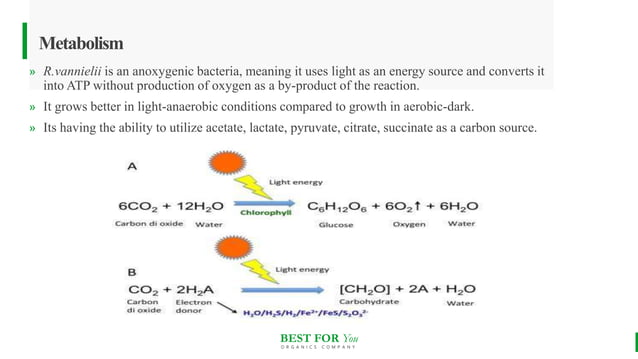 Rhodobacterium and Methanobacterium.pptx