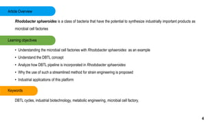 Rhodobacter_bacteria _Maliha_Rashid.pptx