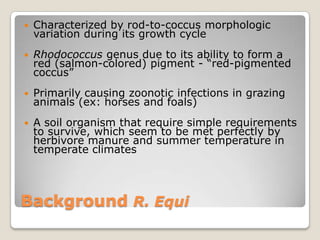 Rhodococcus equi | PPT