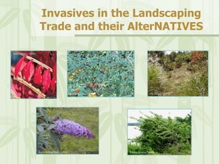 PA Invasive Plants and AlterNATIVES | PPT