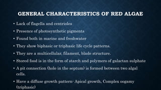 rhodophyceae-22MBO025.pptx | Reproductive Health | Diseases and Conditions