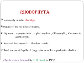 Red Algae Slide