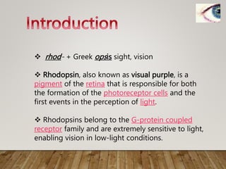 rhodopsin.pptx