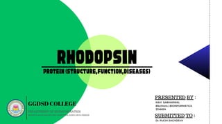 RHODOPSIN PROTEIN structure and function | PDF