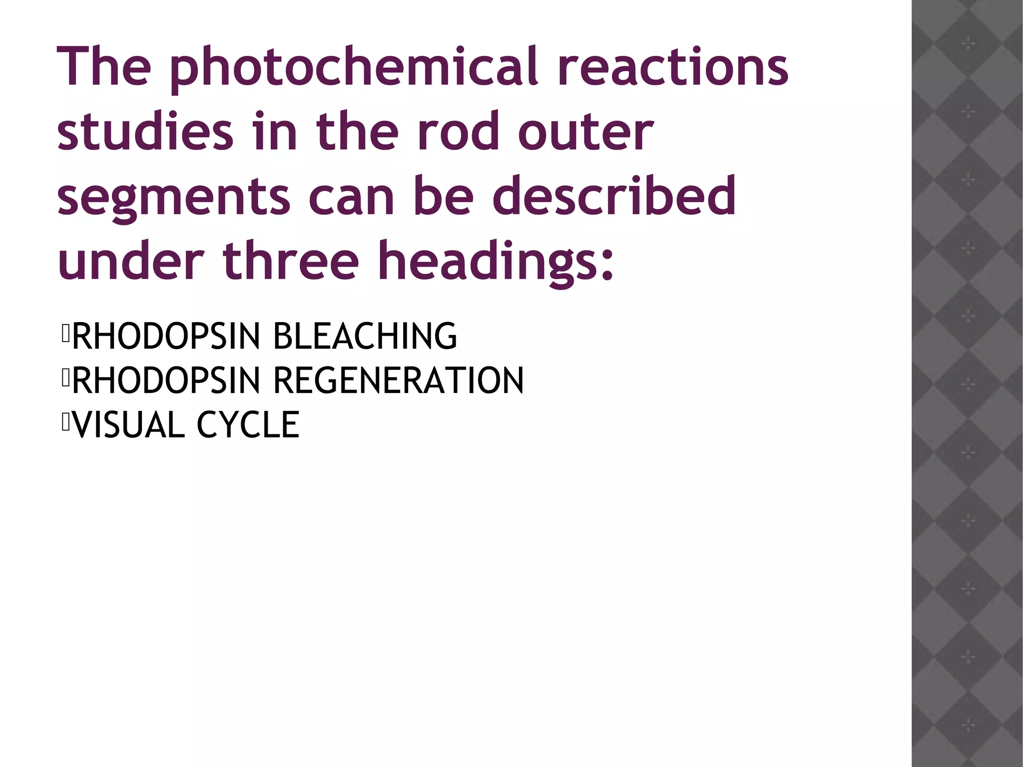 Rhodopsin cycle | PPT