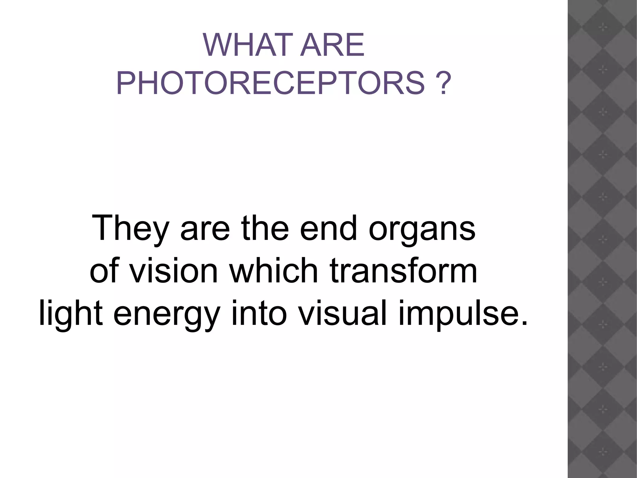 Rhodopsin cycle | PPT
