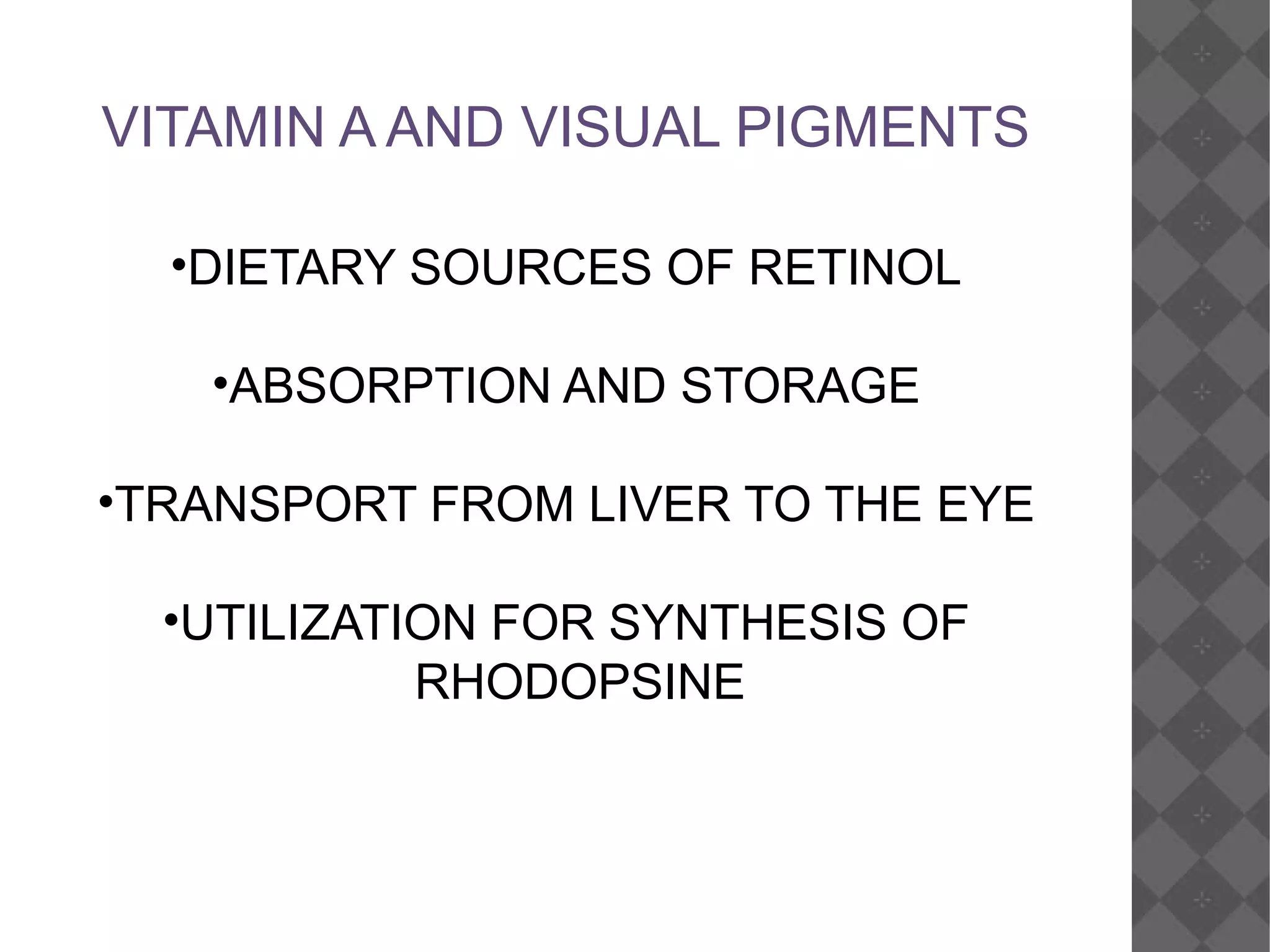 Rhodopsin cycle | PPT
