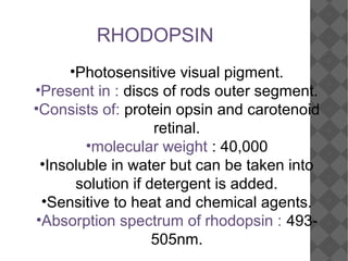 Rhodopsin cycle | PPT