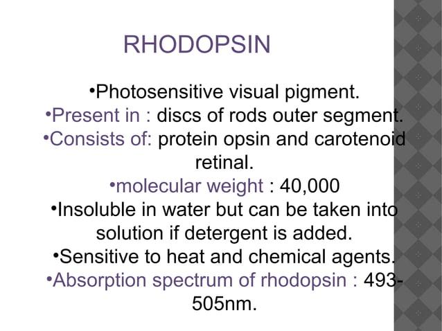 Rhodopsin cycle | PPT