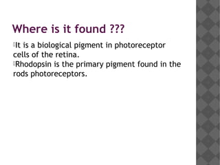 Rhodopsin cycle | PPT