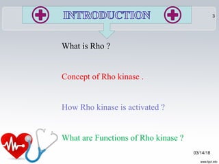 Rho kinase ppt. | PPT
