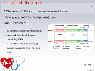 Rho kinase ppt. | PPT