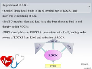 Rho kinase ppt. | PPT