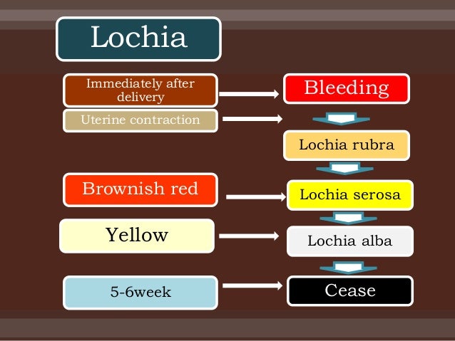 020 normal and abnormal puerperium 2