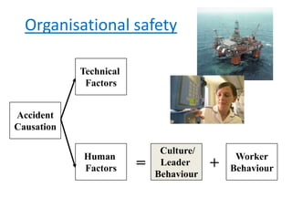 Rhona Flin: building a safety culture in the NHS | PPTX