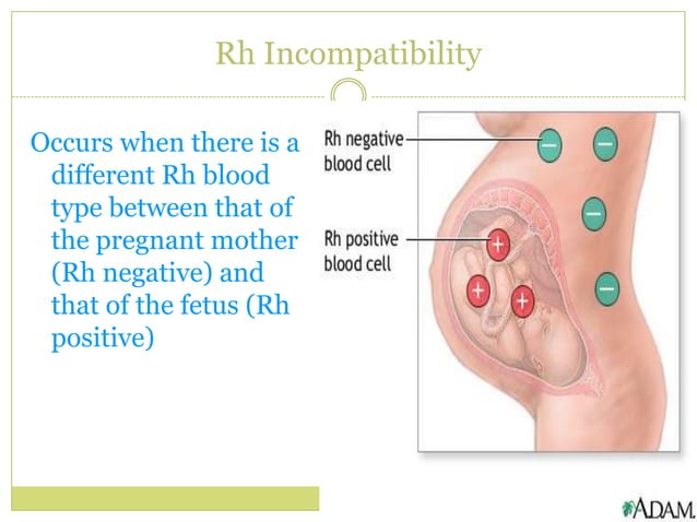 Rh Rhesus Isoimmunization | PPTX