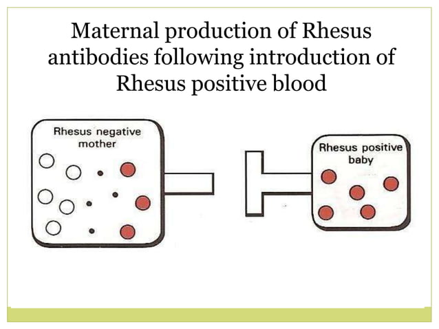 Rh Rhesus Isoimmunization | PPTX