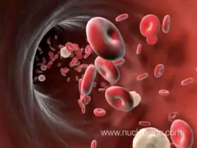 Rh Rhesus Isoimmunization | PPTX