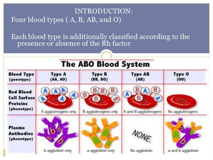 Rh Rhesus Isoimmunization