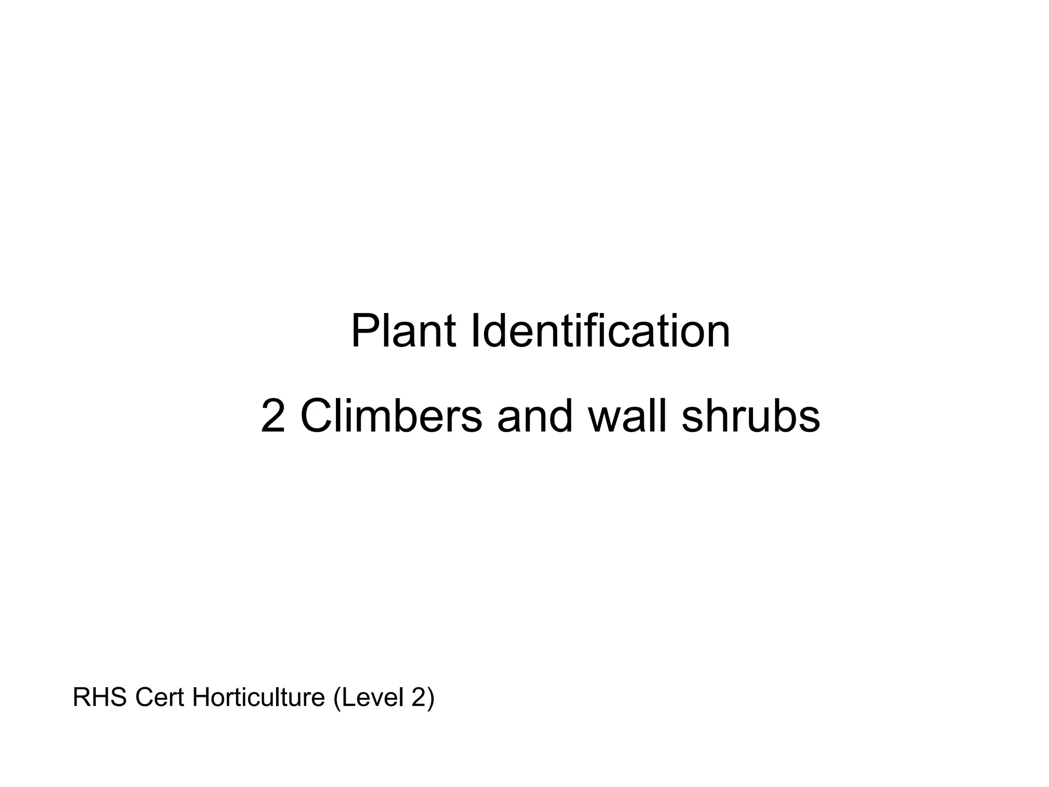 RHS 2 Plant idents: Climbers & wall shrubs | PPT
